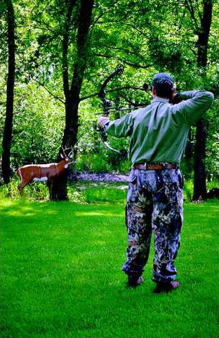 Archery deer hunting season opens this Saturday - Bryan County News