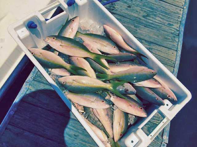 Georgia DNR to offer two free fishing days - Bryan County News