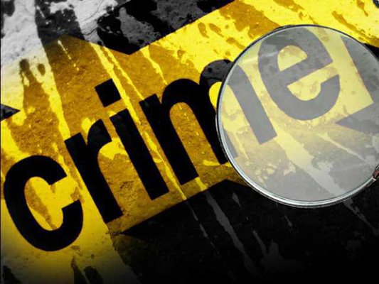 Crime Reports - Effingham Herald