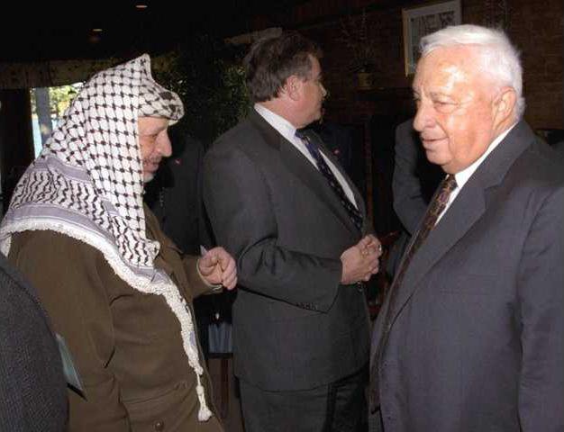 ariel sharon coma