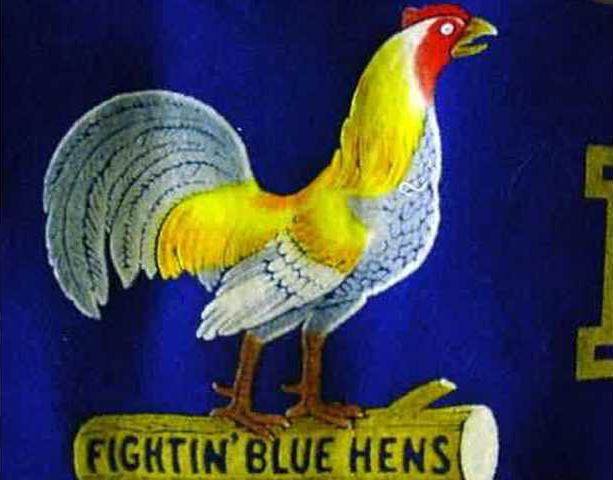 So what exactly is a Fightin' Blue Hen? - Statesboro Herald