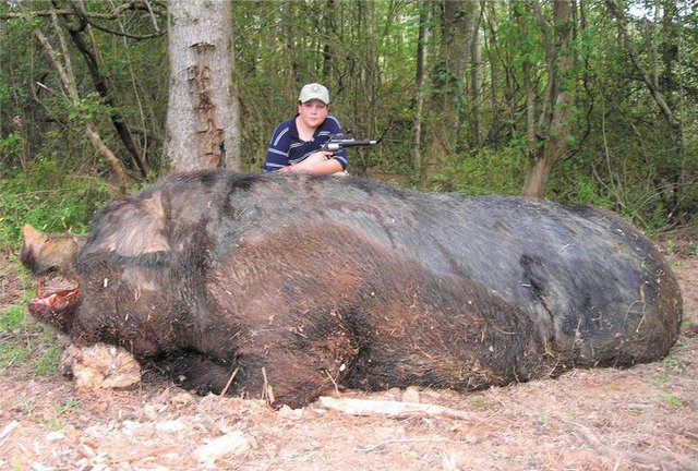 hogzilla hunt