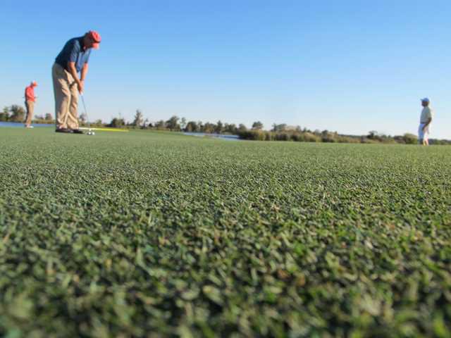 Ford Plantation unveils redesigned golf course - Bryan County News