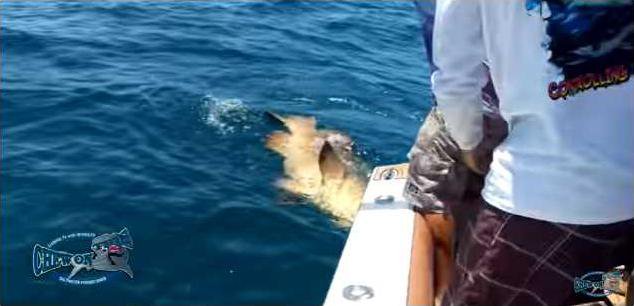 Video shows fisherman pulled overboard by monster fish - Bryan County News