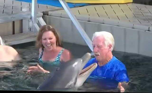 Have You Seen This? Man vs dolphin spit fight - Effingham Herald