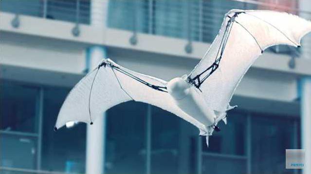 Have You Seen This? Self-flying, mechanical flying fox - Effingham Herald