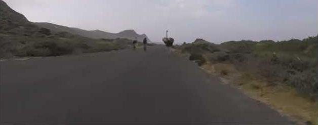 Viral video shows hilarious, high-speed ostrich chase - Effingham Herald