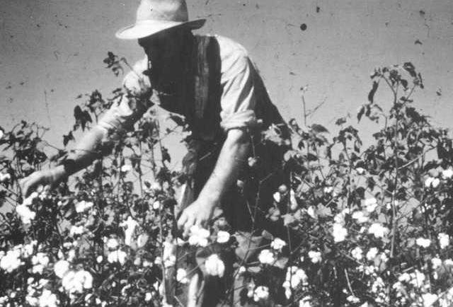 Plundering through the photo album - Effingham Herald