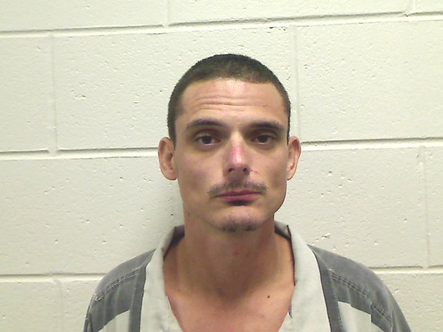 UPDATE: K-9 unit helps catch fleeing suspect - Statesboro Herald