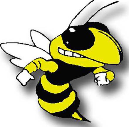 SEB bids farewell to Shaver Field - Statesboro Herald