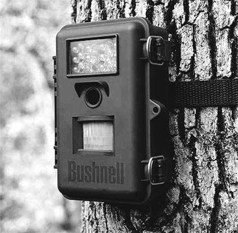 Trail cameras - the ultimate tool for scouting your deer - Statesboro ...