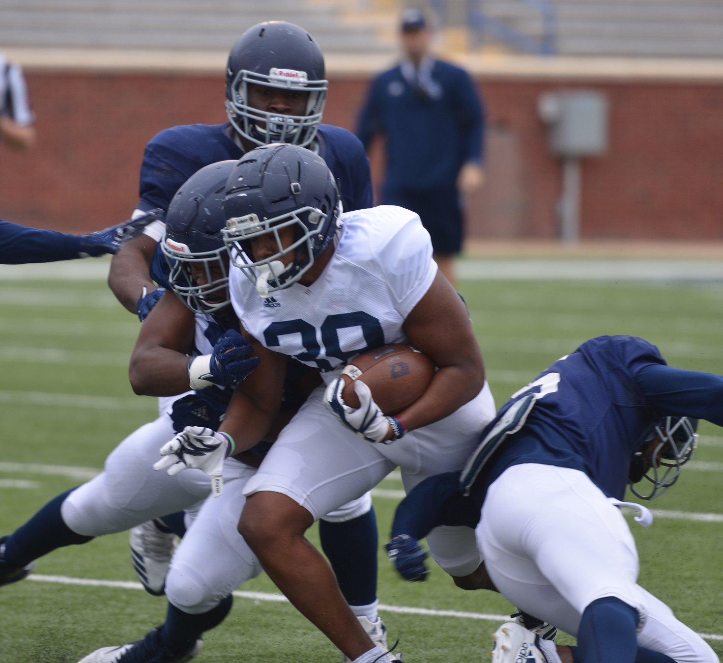 Georgia Southern Football hosts first scrimmage of spring - Statesboro ...