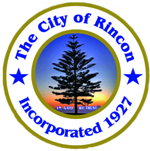 Rincon suspends City Manager Jonathan Lynn - Effingham Herald