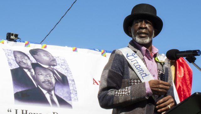 MLK Jr. Observance Day goes on despite COVID-19 - Effingham Herald