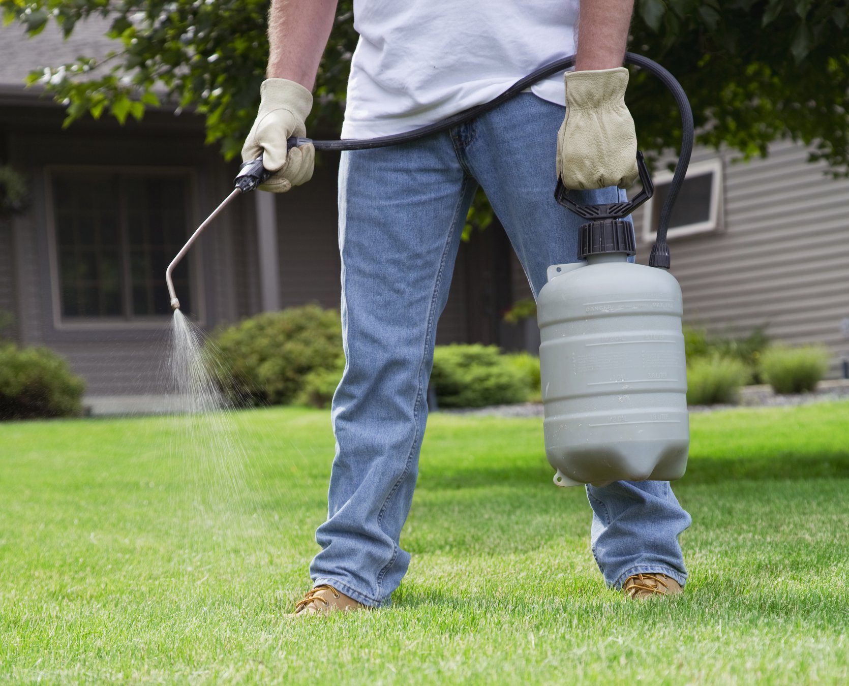 How to control sandspurs, burweed - Effingham Herald