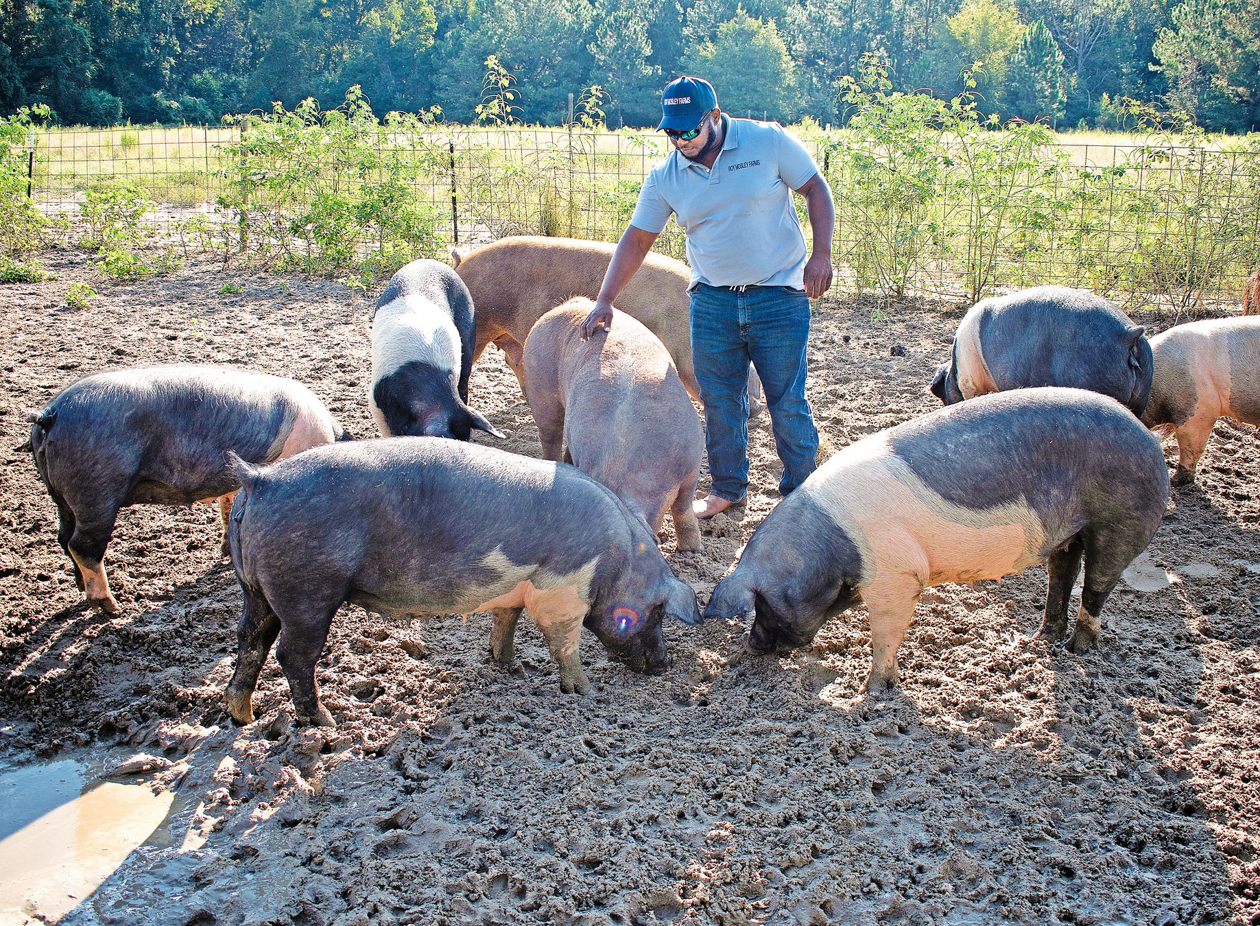 Roy Mosley Jr.: Forging a new path in farming - Discovering Bulloch