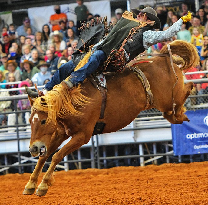 Cowboys, bulls, broncs coming back to Boro - Statesboro Herald