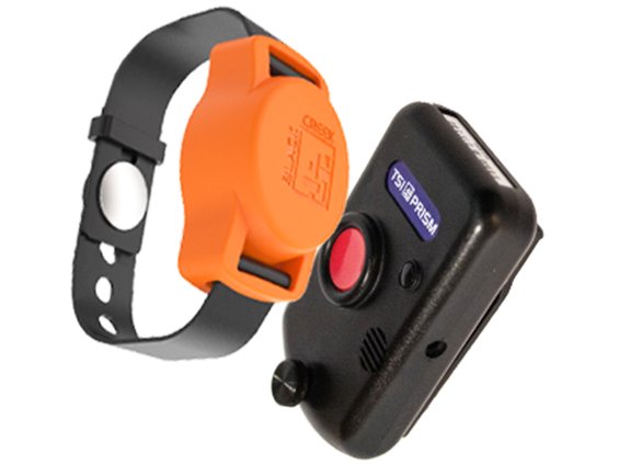 Georgia jail tries monitor bracelets to keep inmates alive - Statesboro ...