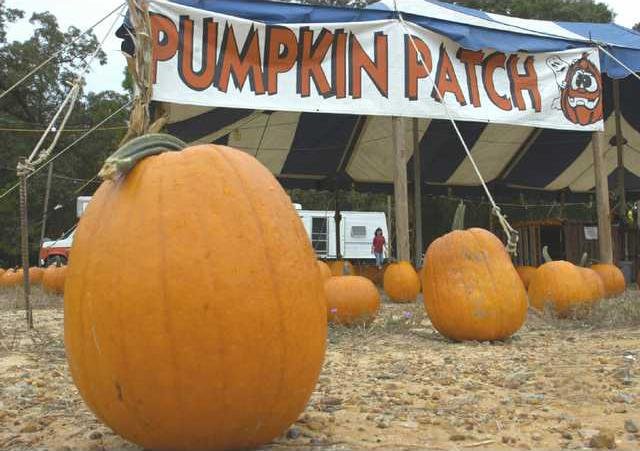 Kiwanis Club of Tattnall to host a Pumpkin Patch - The Journal Sentinel