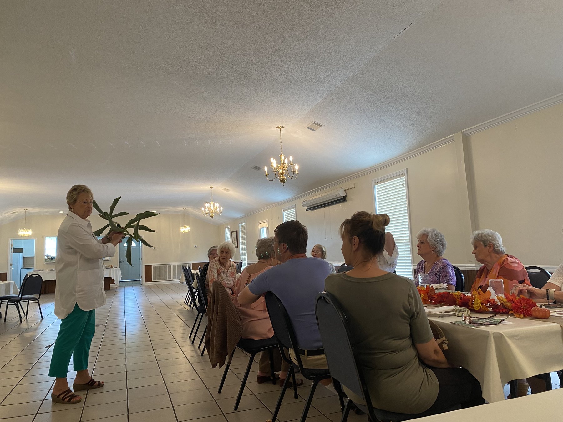 Glennville Garden Club members planning to attend District Conference ...