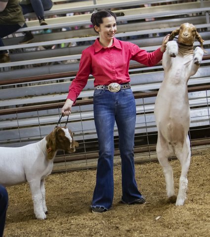 GALLERY: 2022 Effingham County Fair Goat Show (Oct. 18) - Effingham Herald