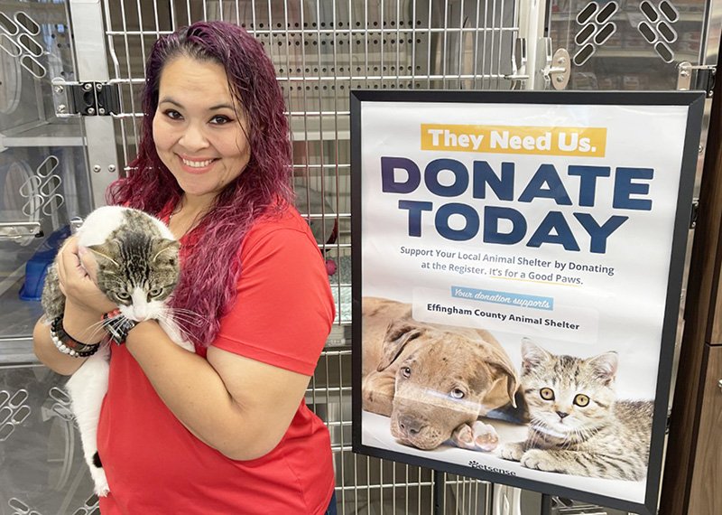 Petsense adoption site finds home for 20 cats and counting - Effingham ...