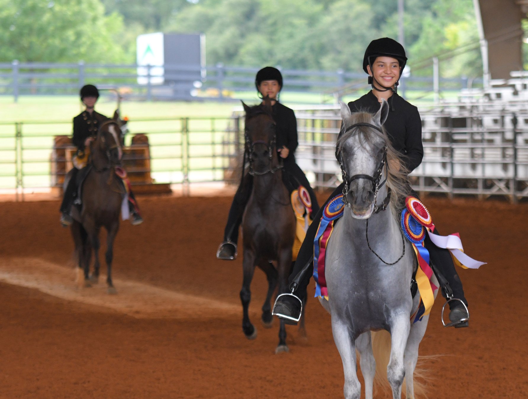 Paso Fino horses strut their stuff at Ag Complex this weekend ...