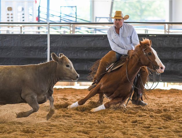 Cutting horse competition at Bulloch County Agricultural Complex this ...