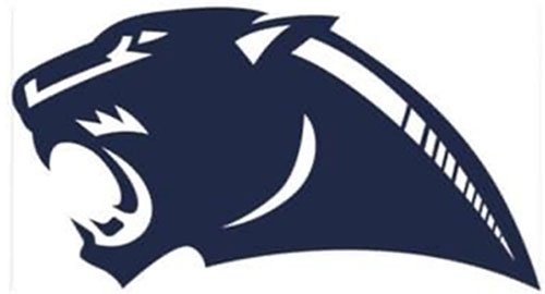 Panthers traveling to S.C. for game in West Columbia - Statesboro Herald