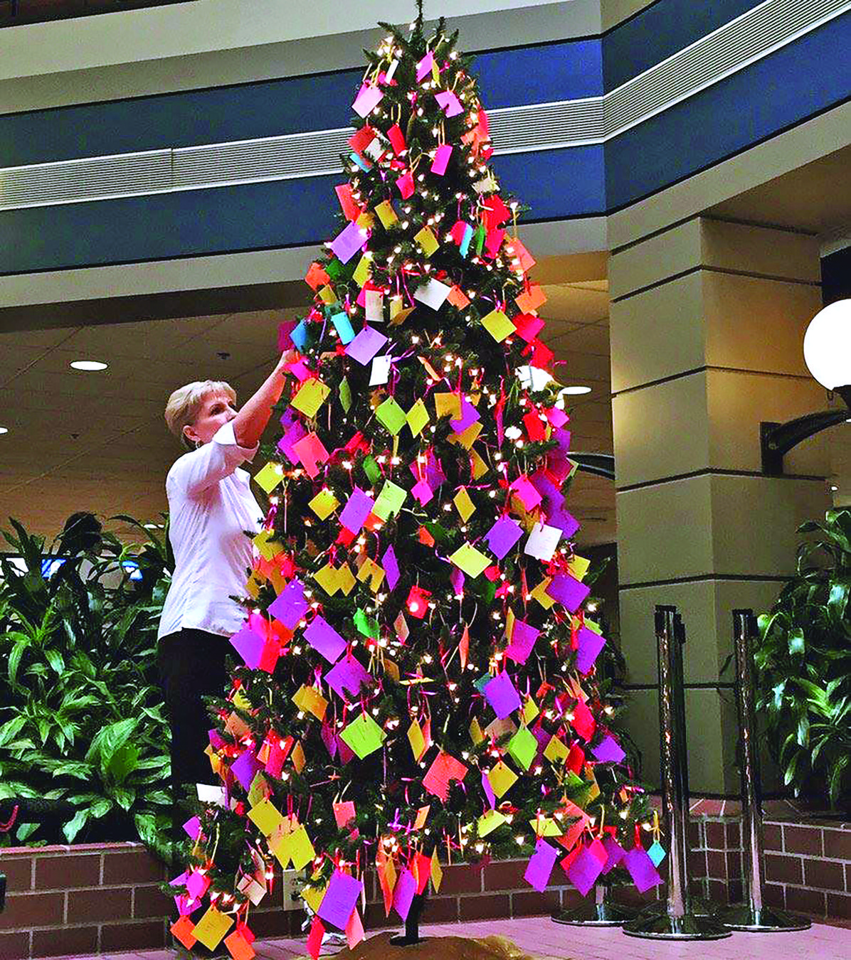 Georgia Southern’s Holiday Helper Tree - Discovering Bulloch