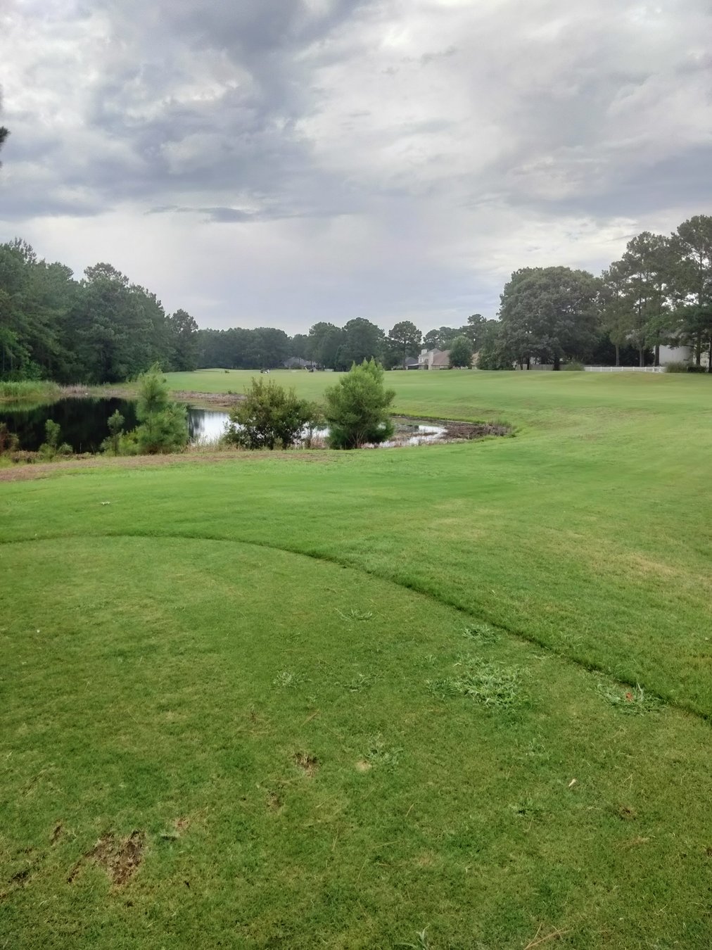 Review: The greens are back at The City Club at Lost Plantation ...