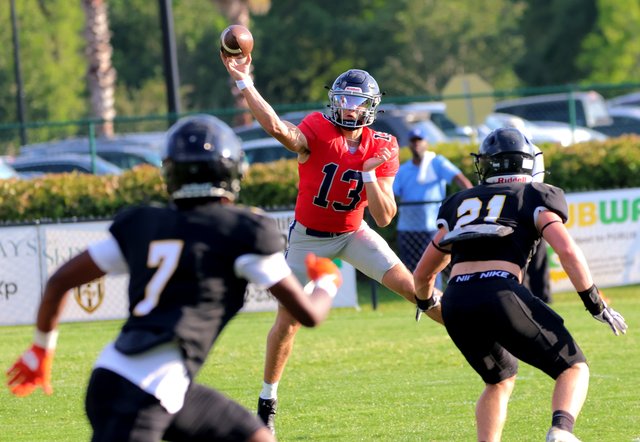 Rebels go down swinging against Houston Co. - Effingham Herald