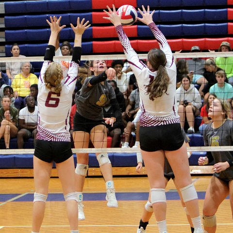Rebels corral Mustangs in volleyball - Effingham Herald