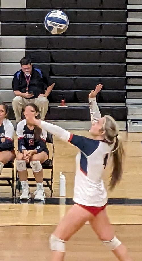 ECHS volleyball seniors top off special night with a win - Effingham Herald