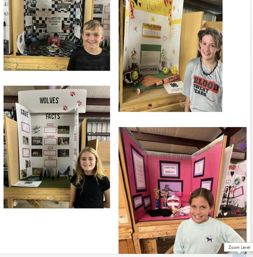 4-H Mini-booth exhibits featured at the Effingham Fair - Effingham Herald