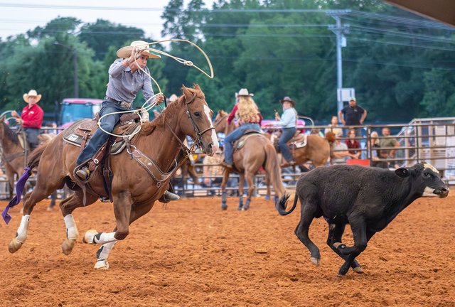 Cowboys, bulls and fans set for 14th annual Kiwanis Rodeo - Statesboro ...