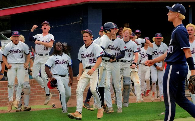 River Ridge ends Rebels baseball season in the Elite Eight - Effingham ...
