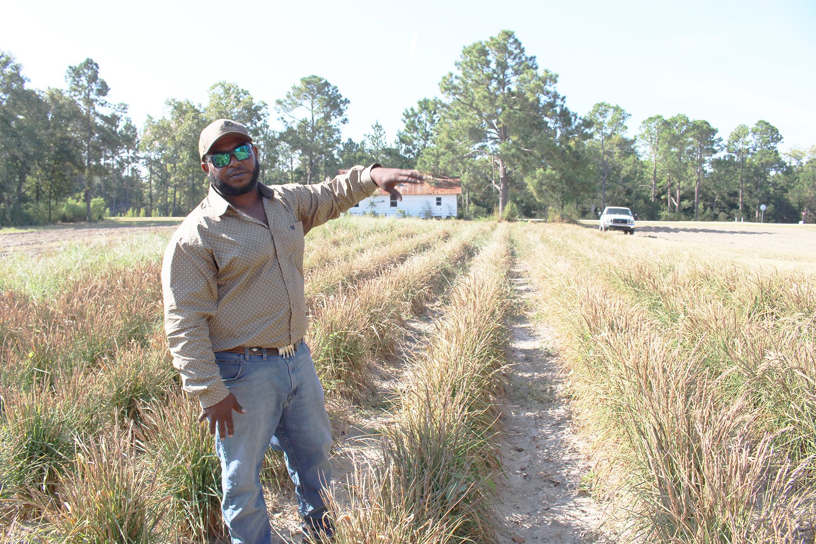 Pastured pork and vegetable farmer Roy Mosley moving into rice ...