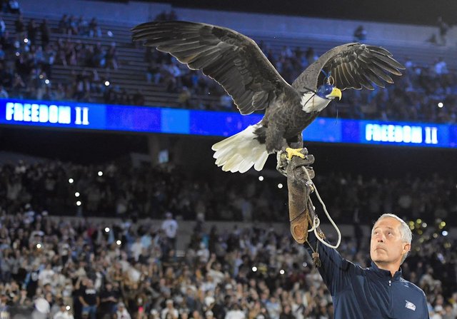 the eagle esca freedom