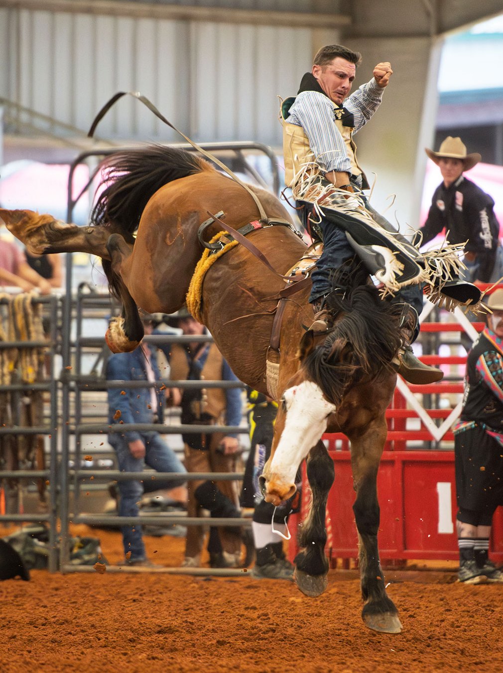 Kiwanis Rodeo keeping third performance for 2026 shows - Statesboro Herald