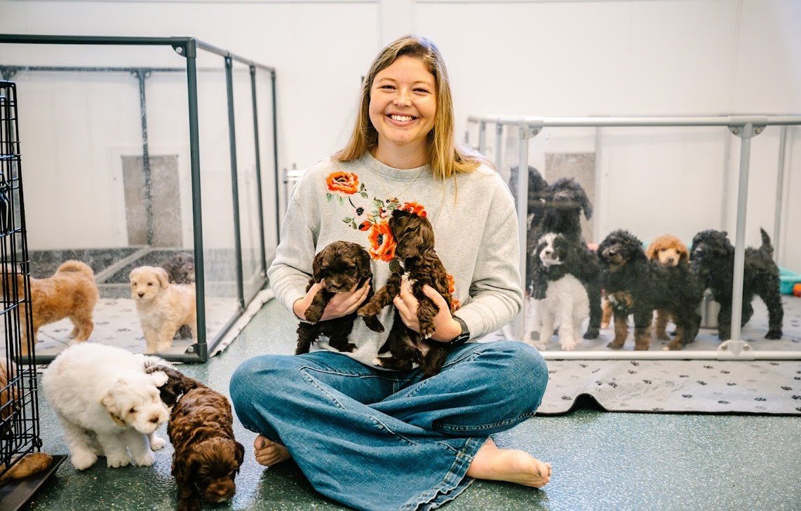 Effingham Breeder Raises Puppies for Service, Therapy, Families ...