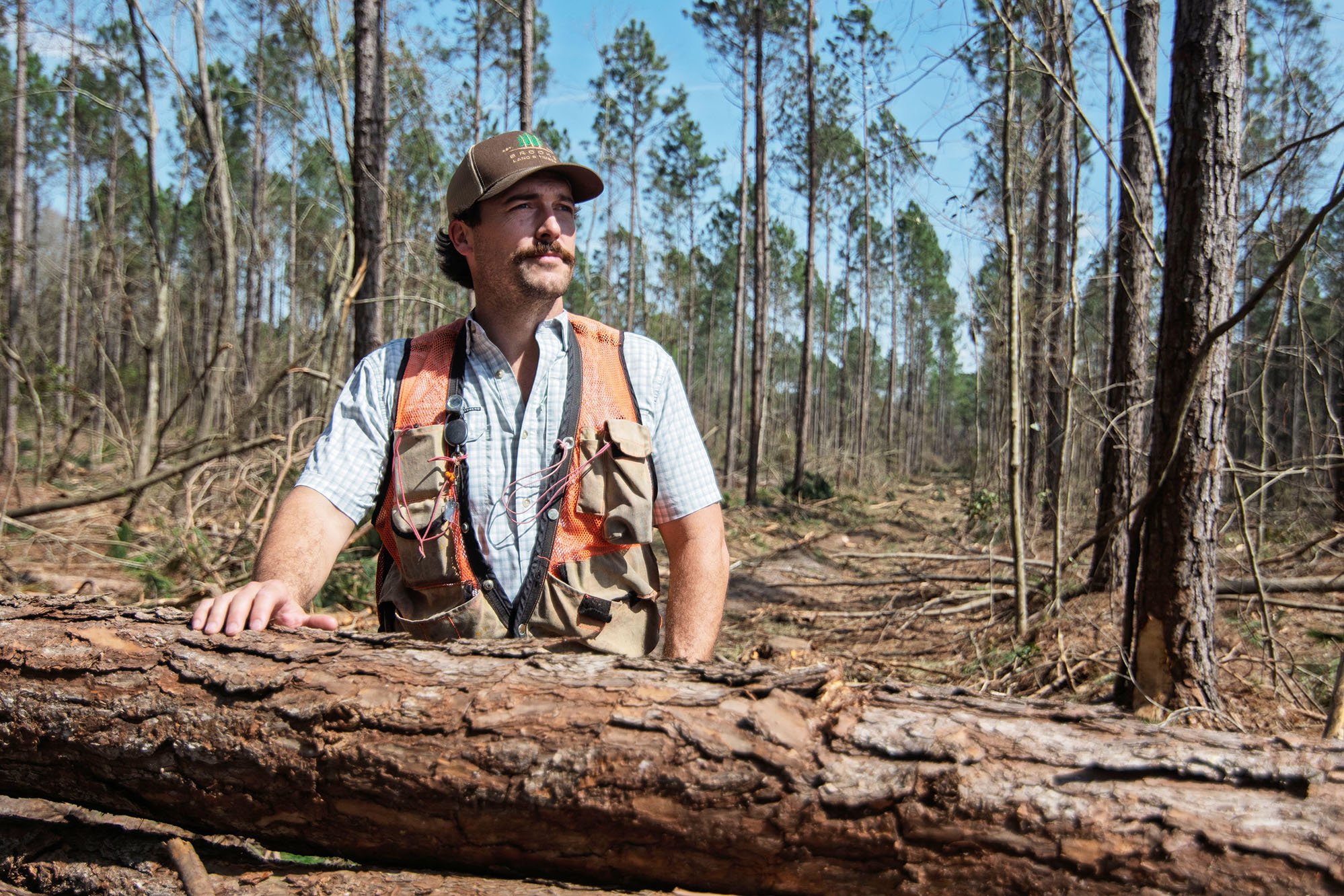 Georgia lawmakers and timber stakeholders seek solutions to state ...