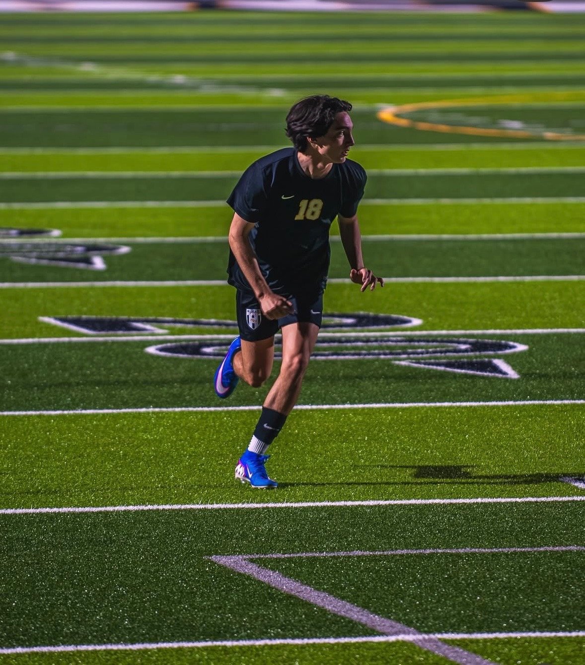 Hard work, dedication important to Richmond Hill forward Noah Dixon ...