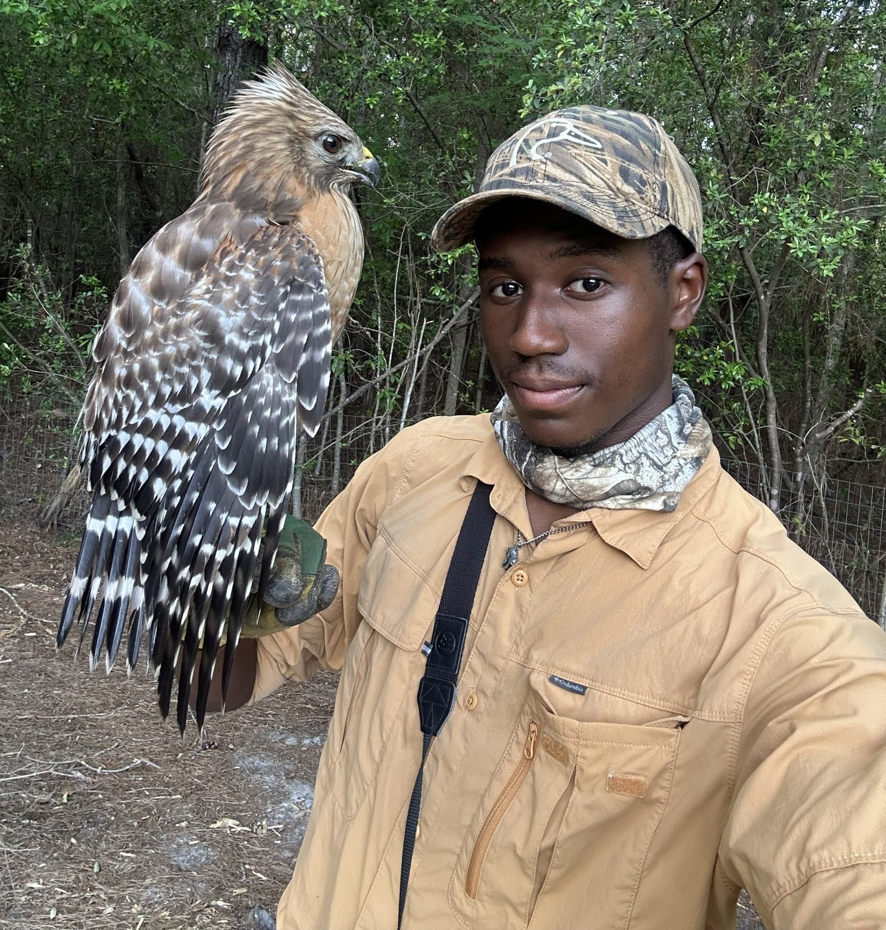 I Found a Hawk That Couldn’t Fly — and Had to Act - Effingham Herald