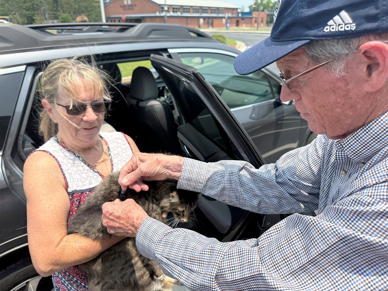4-H rabies clinic at 5 Bulloch sites Saturday - Statesboro Herald